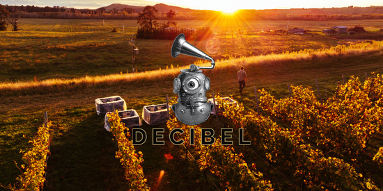 Testify & Decible | Exclusive New Zealand Wine in Hong Kong - LVJ Wines ...